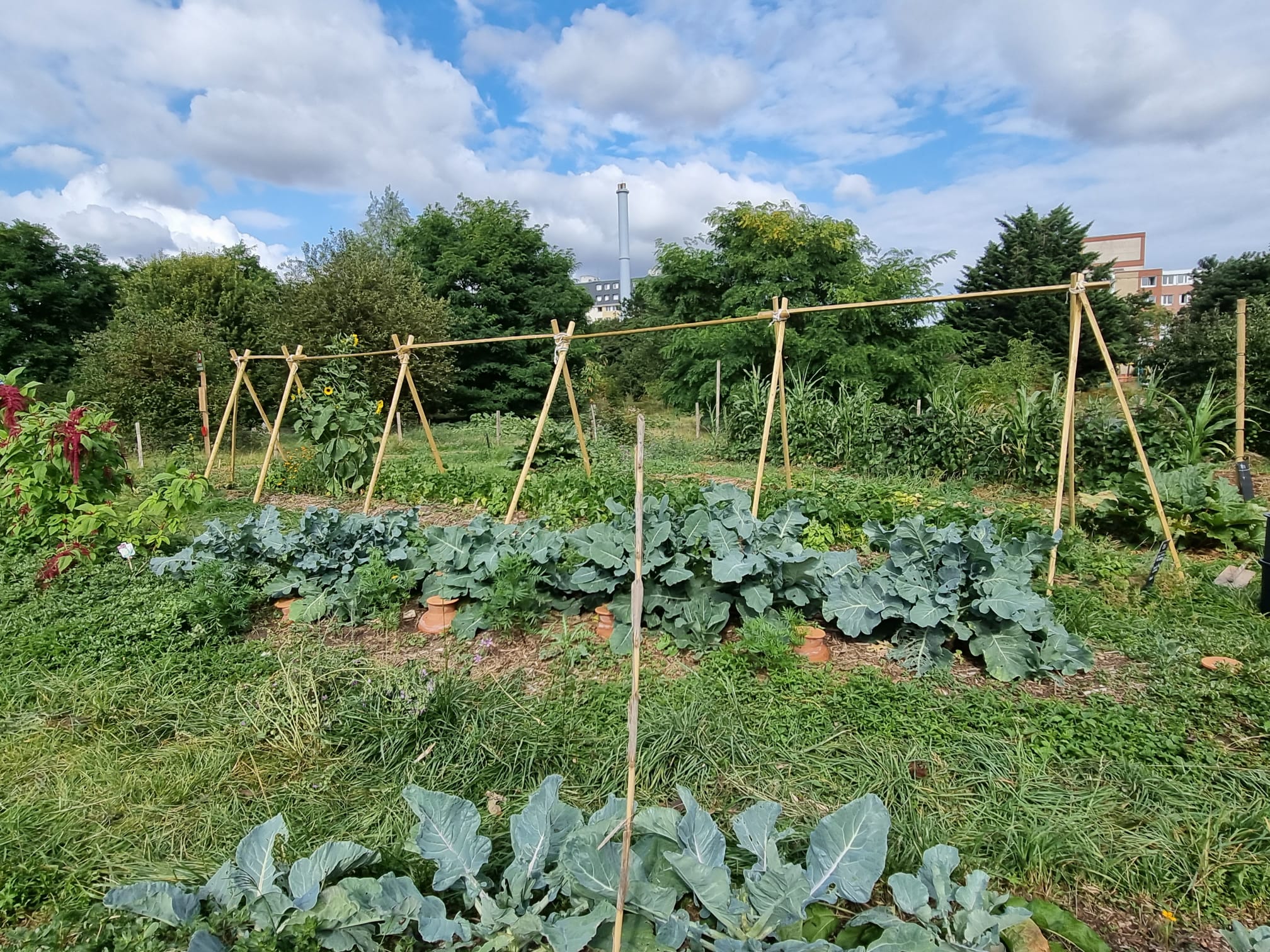 Concept - www.ellsa.fr