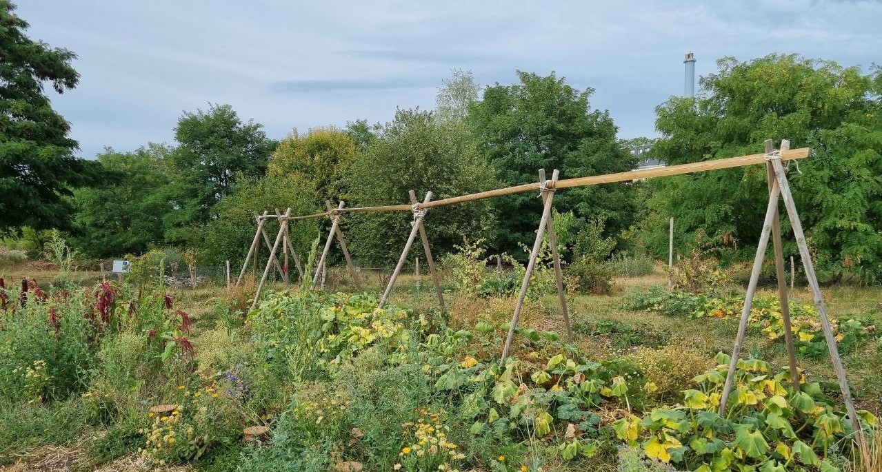 Aménagements - www.ellsa.fr