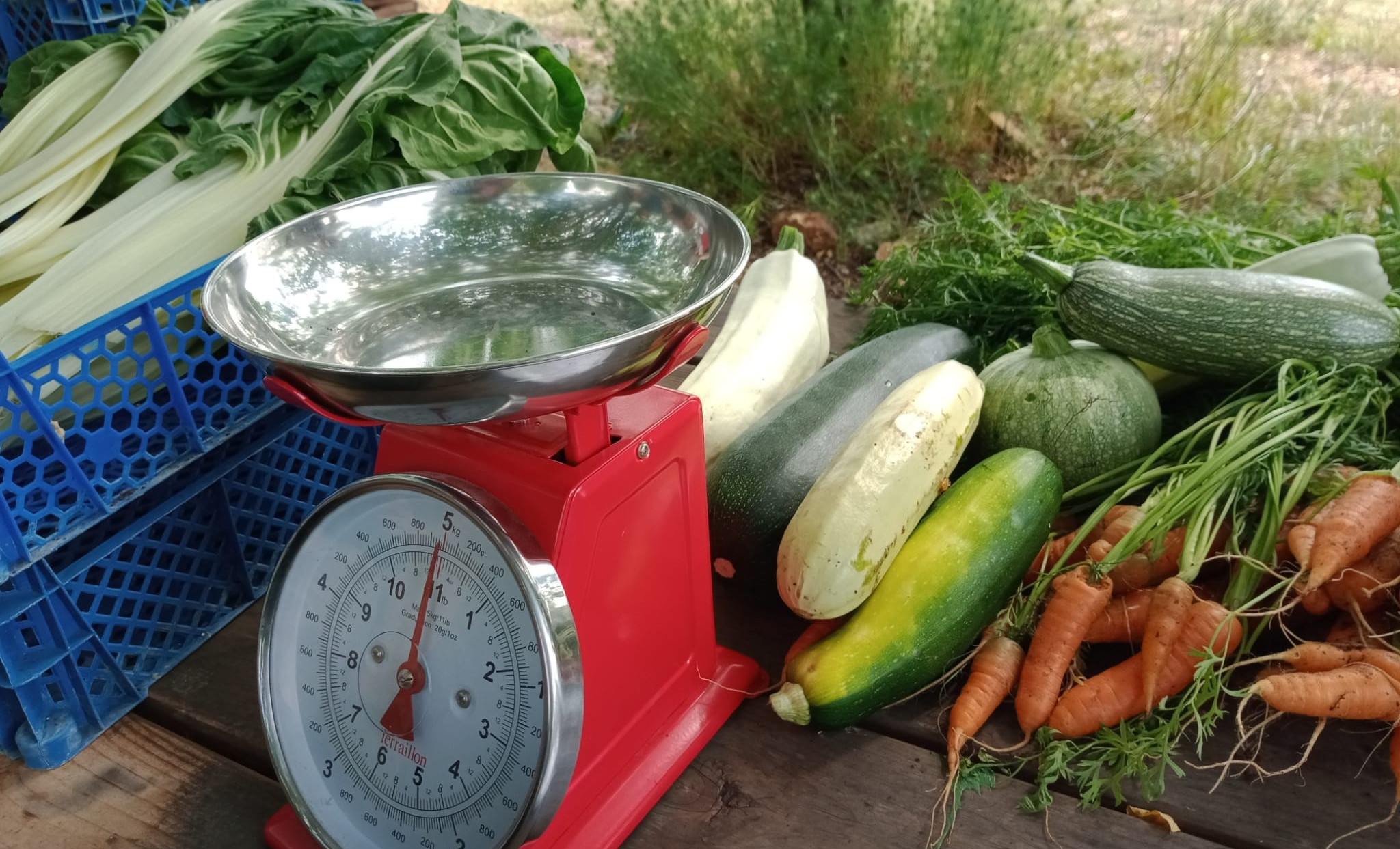 Légumes & Fruits - www.ellsa.fr