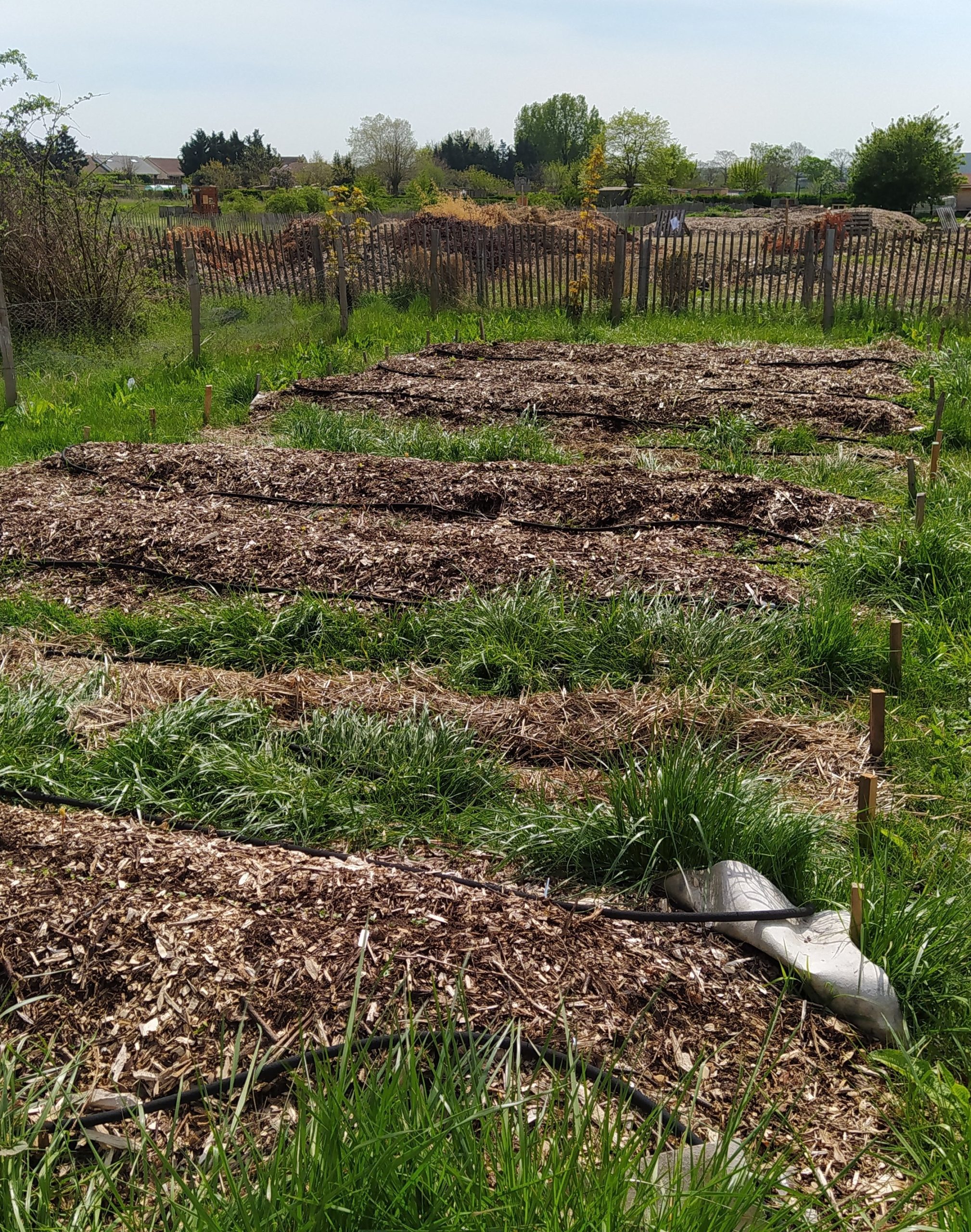 Expérimentation - www.ellsa.fr