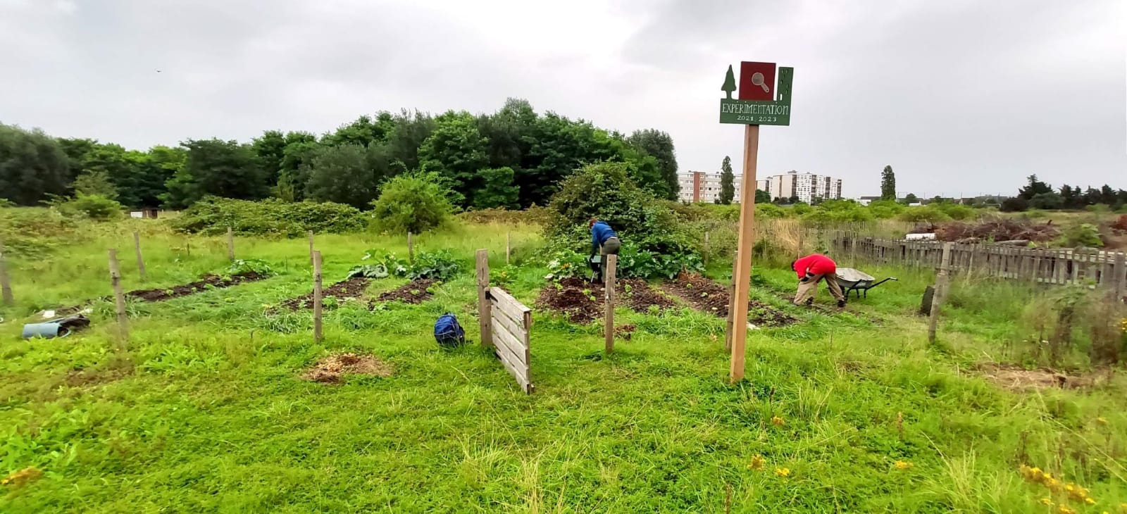 Expérimentation - www.ellsa.fr